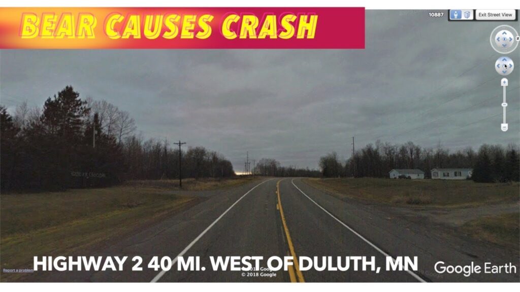 Bear Causes Crash Near Duluth - iNewZ