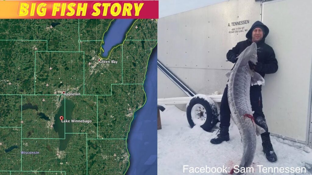 Big Fish Story! - iNewZ