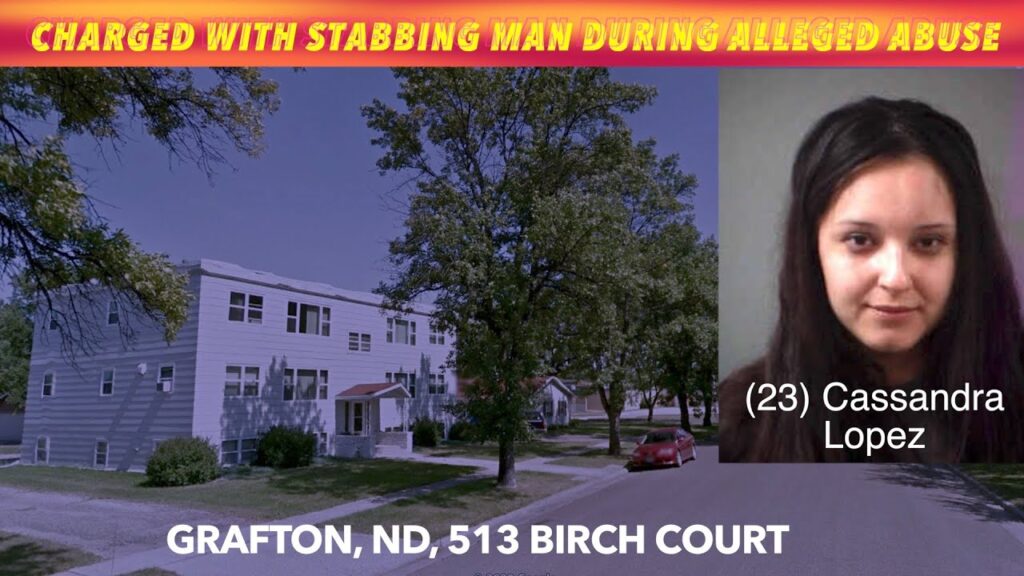 Grafton Woman Charged With Stabbing Man, During Alleged Abuse - iNewZ