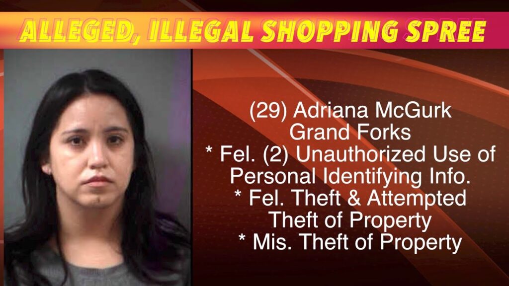 Grand Forks Woman Charged With Illegal Shopping Spree - iNewZ