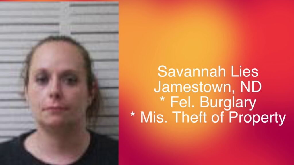 Jamestown Woman Facing Criminal Charges - iNewZ