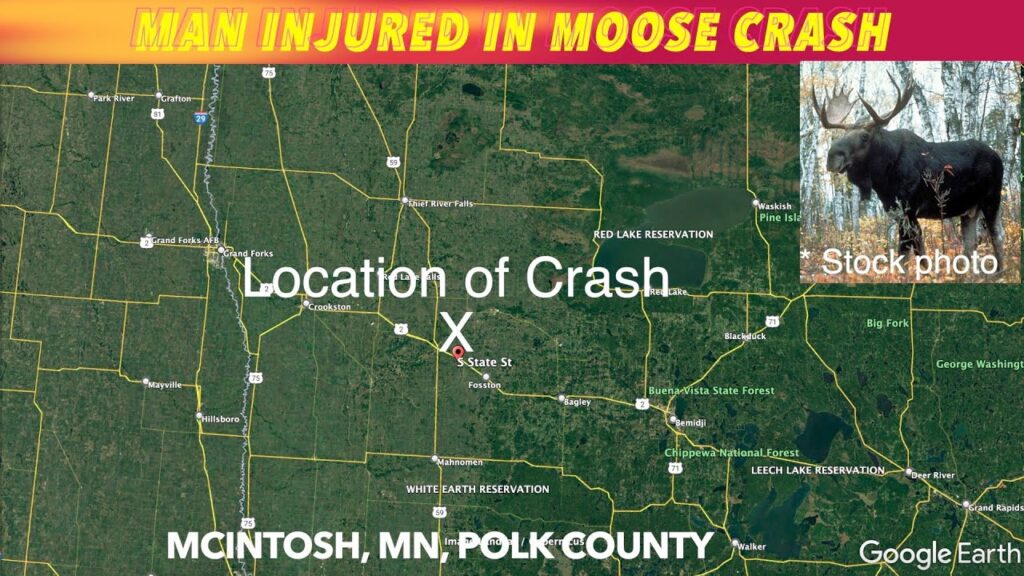 Man Injured In Polk County Moose Crash - iNewZ