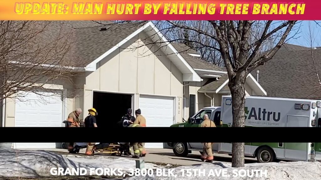 UPDATE: Man Injured By Falling Tree Branch In Grand Forks - iNewZ