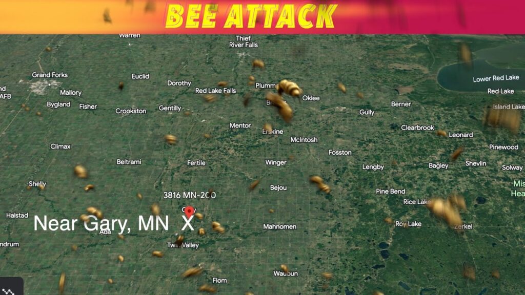 Bee Attack - iNewZ
