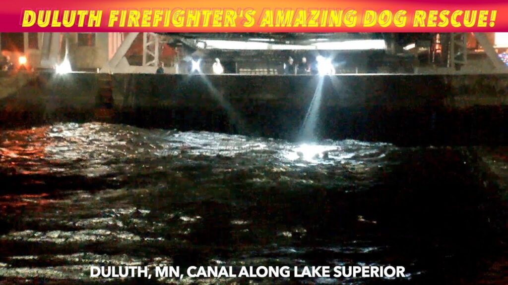 Duluth Firefighter's Amazing Dog Rescue From Icy Waters Of Lake ...