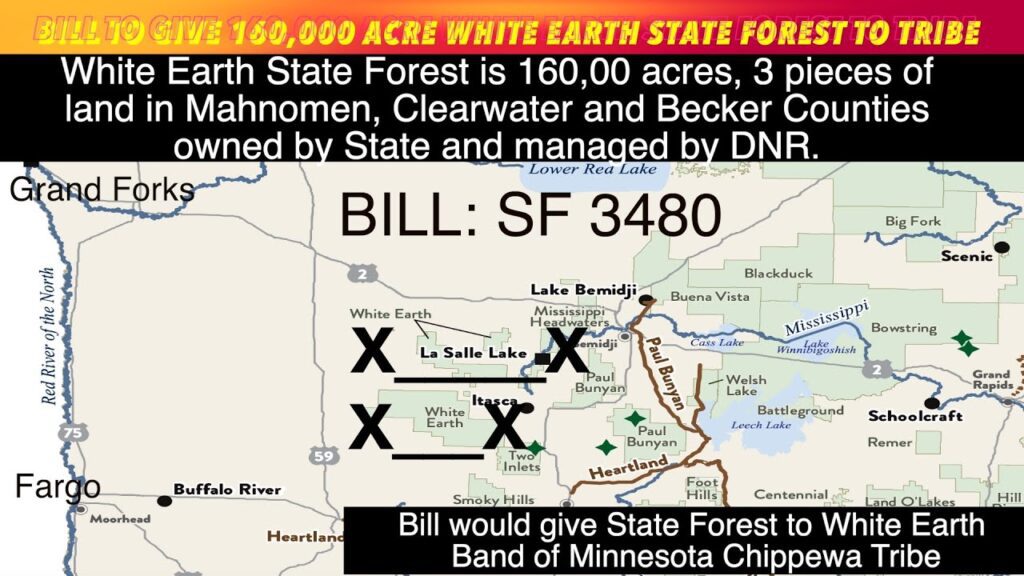 Proposal To Give 160,000 Acre White Earth State Forest To Tribe ...