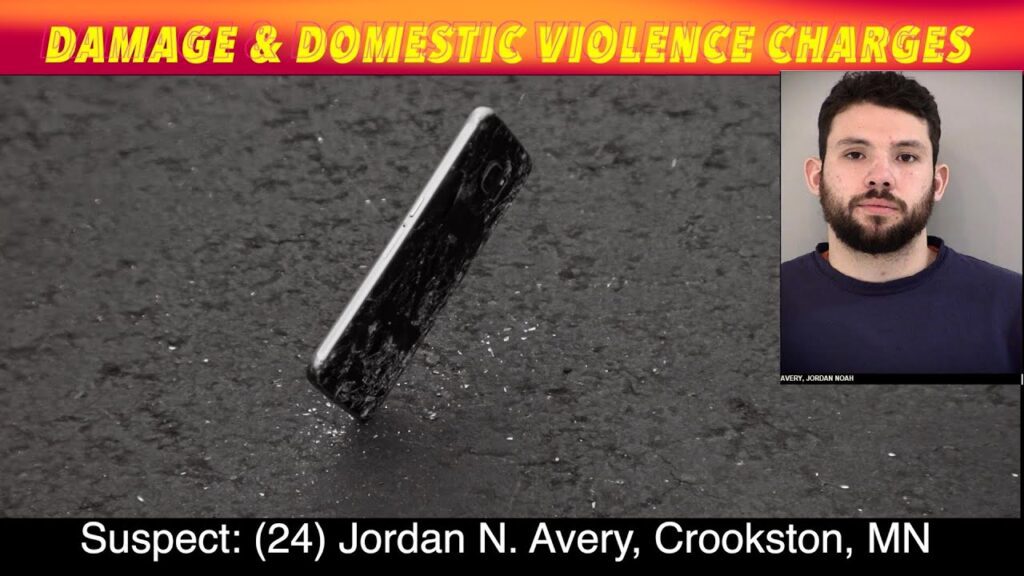 Damage & Domestic Violence Charges - iNewZ
