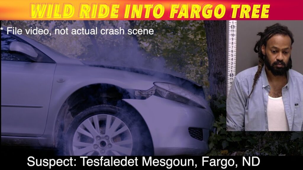 Wild Ride Into Fargo Tree - iNewZ