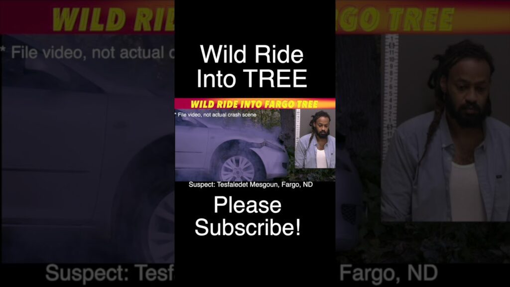 Wild Ride Into Fargo Tree - iNewZ