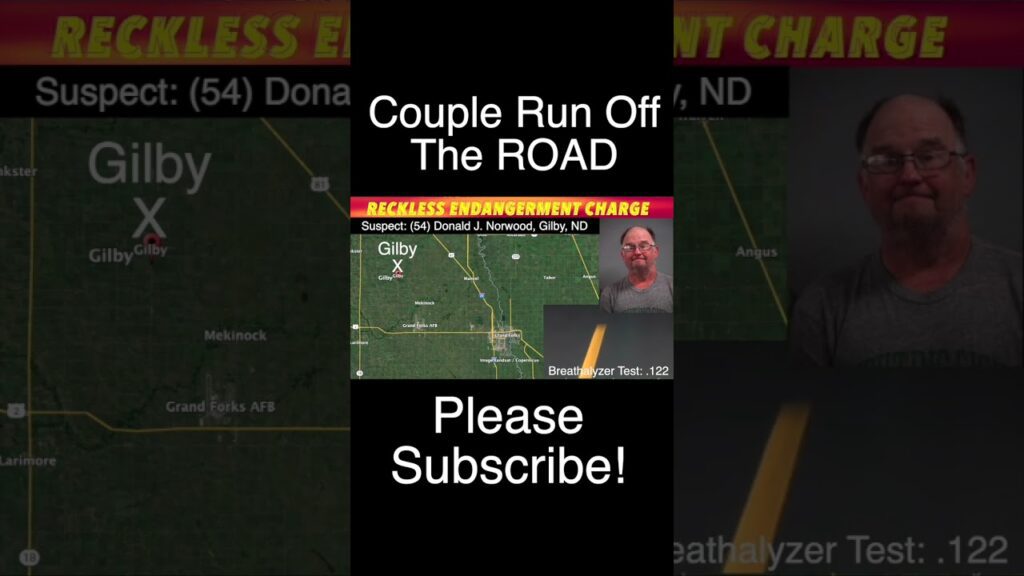 Reckless Endangerment Charge After Couple Run Off The Road - iNewZ