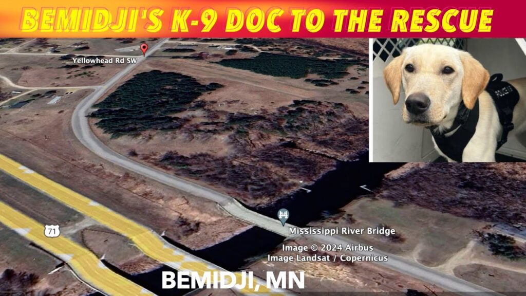 Bemidji K-9 Doc To The Rescue! - iNewZ