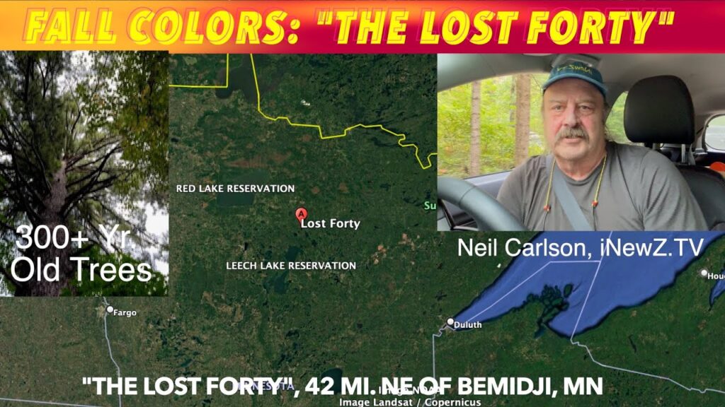 MN FALL COLORS: "The Lost Forty" - iNewZ