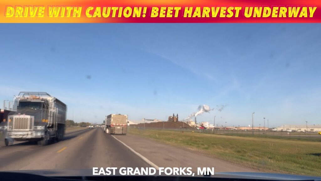 DRIVE WITH CAUTION IN VALLEY! Sugar Beet Harvest Underway - iNewZ