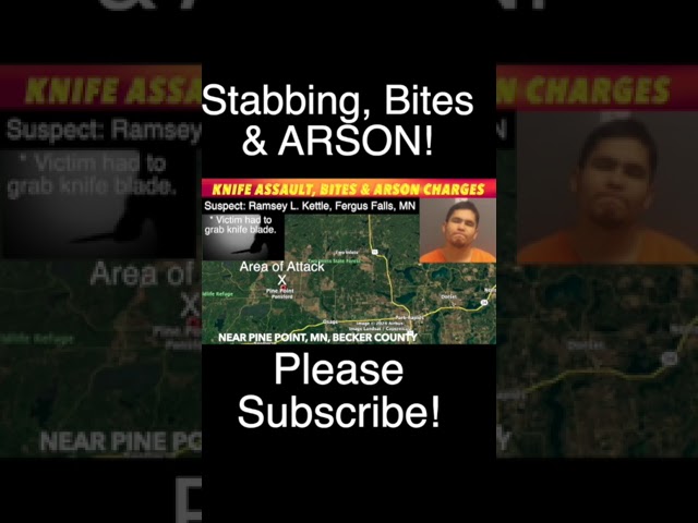 Knife Assault, Bites & Arson Charges In Becker County, Minnesota - iNewZ