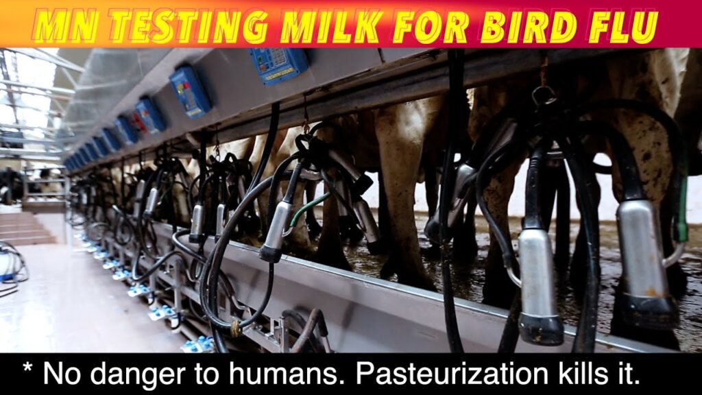 Minnesota Testing Milk For Bird Flu - iNewZ