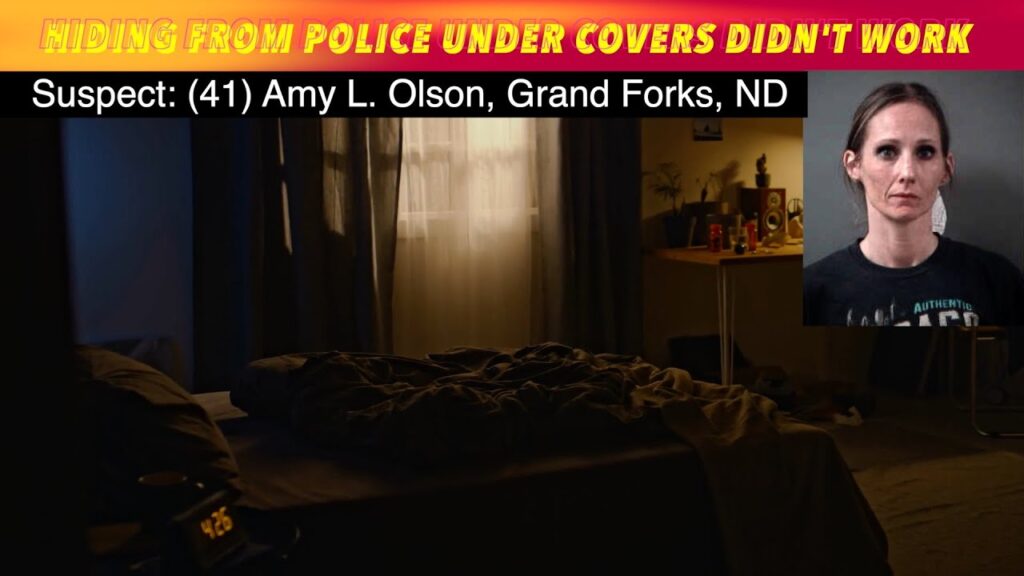 Hiding From Police Under Covers Didn't Work - iNewZ